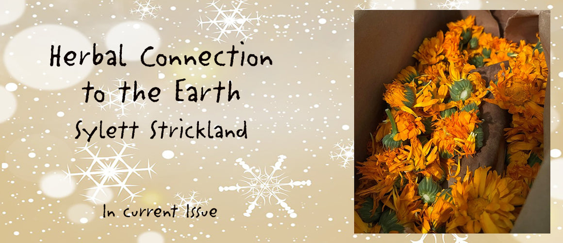 The Essential Herbal