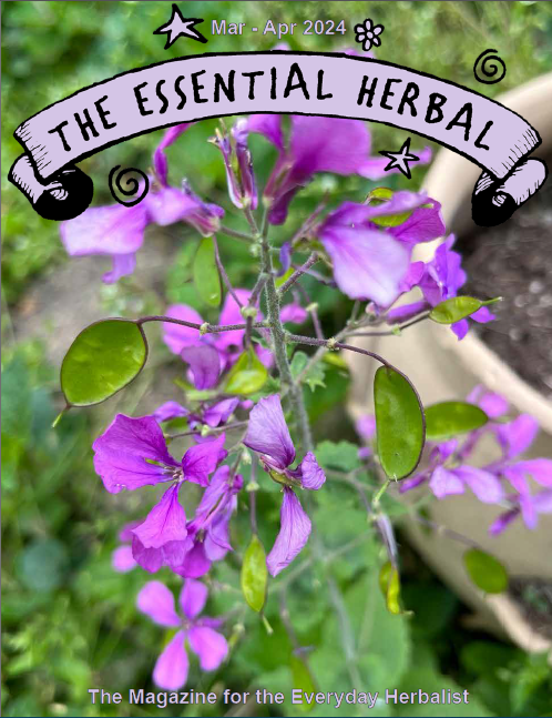 Current Issue (Digital) – The Essential Herbal
